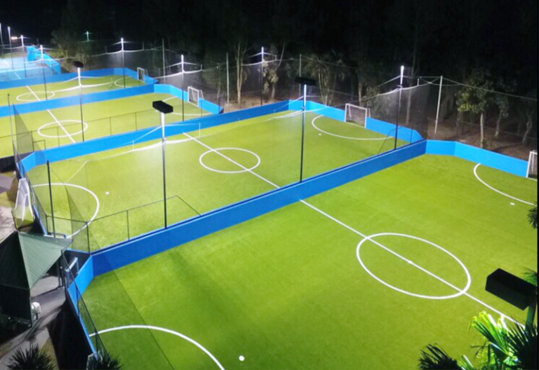 Our Pitches – Goals Australia